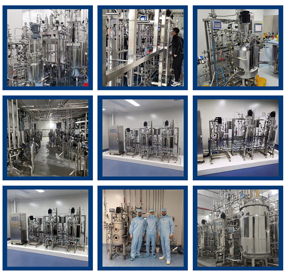 1/2" Sanitary Balance Pressure Thermostatic Clean Steam Trap - Buy 1/2 ...