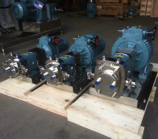 Stainless Steel 304 Double Wing Rotor Pump Rotary Lobe Pump